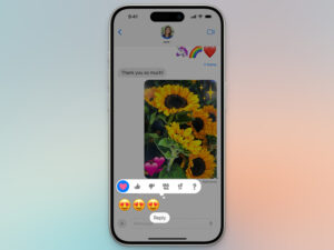 What Does Emphasized an Image Mean on iPhone? • TechKV